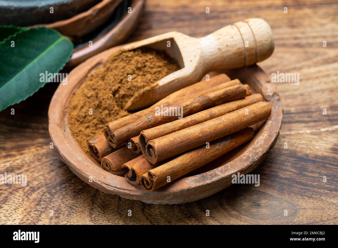 Indian spices collection, dried aromatic cinnamon barks and another ...