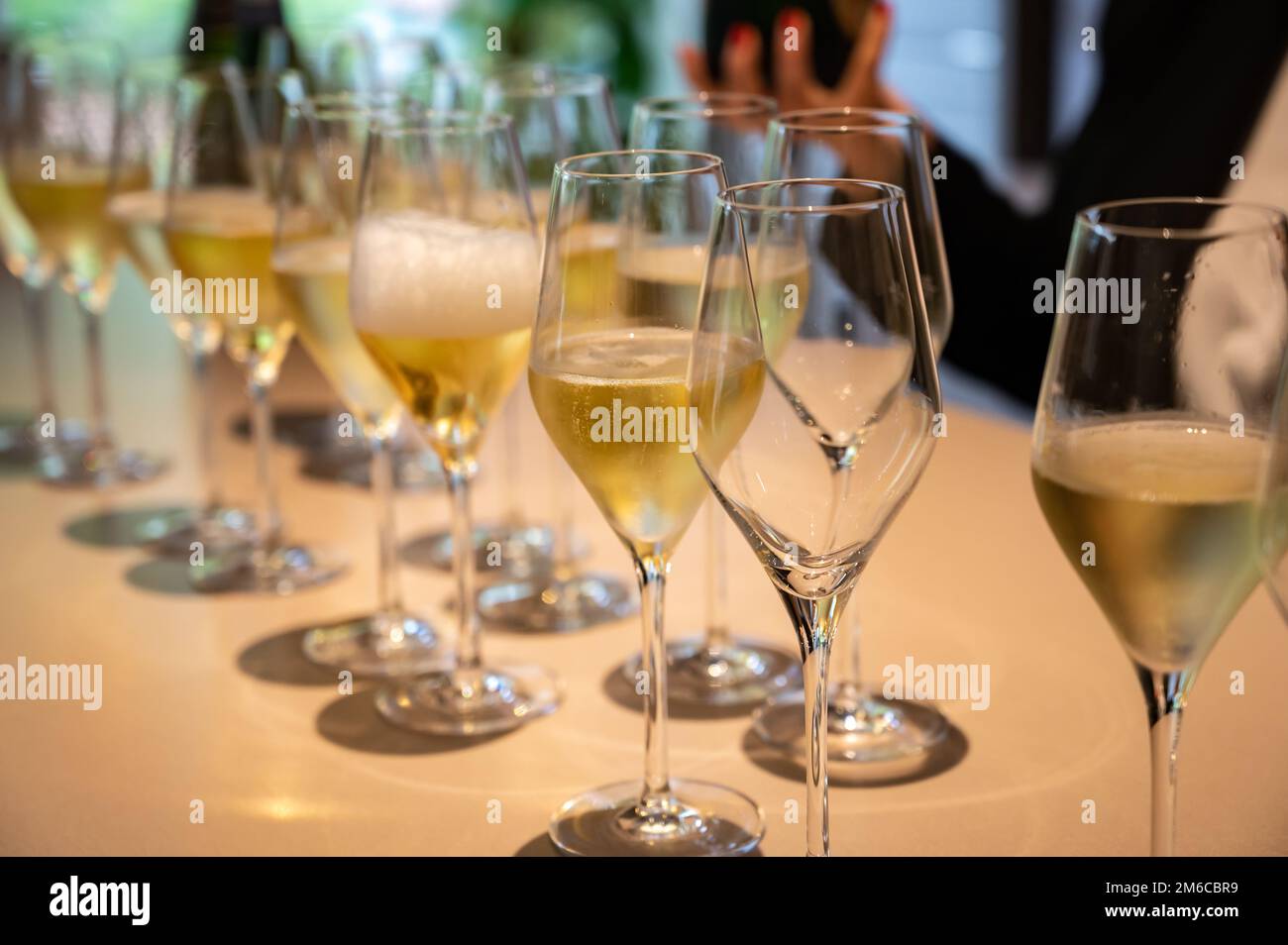 Tasting of brut and reserve grand cru champagne sparkling wine produced by traditional method in ...