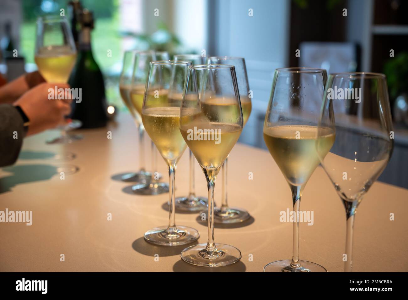 Tasting of brut and reserve grand cru champagne sparkling wine produced ...