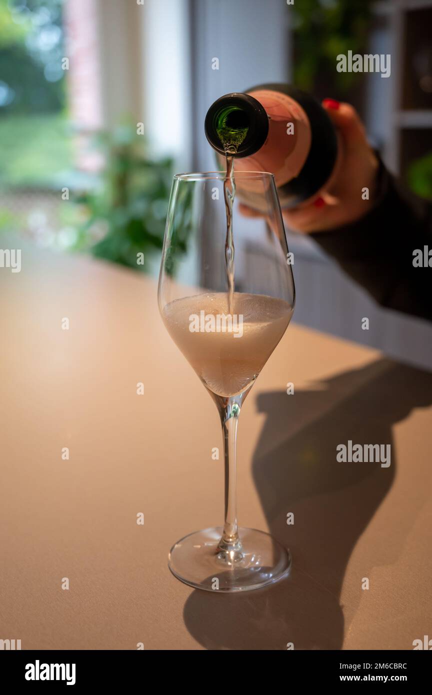 Tasting of rose champagne sparkling wine produced by traditional method in underground caves in ...