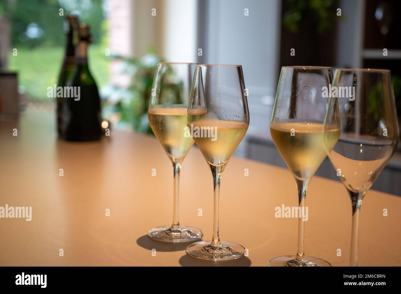 Tasting of brut and reserve grand cru champagne sparkling wine produced ...