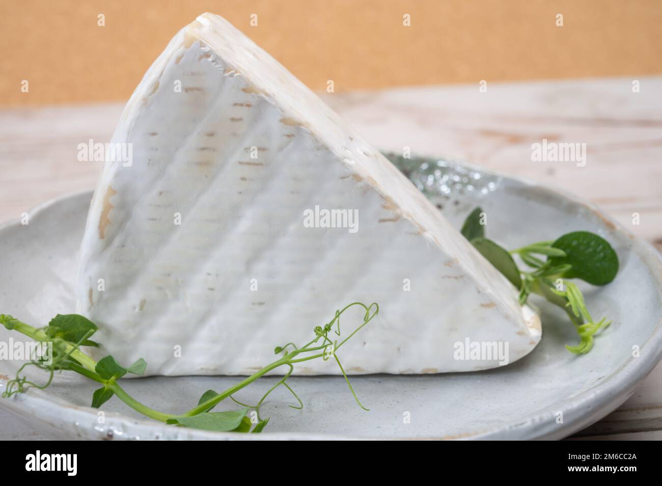 Cheese collection, French brie de Meaux cheese from Seine-et-Marne ...