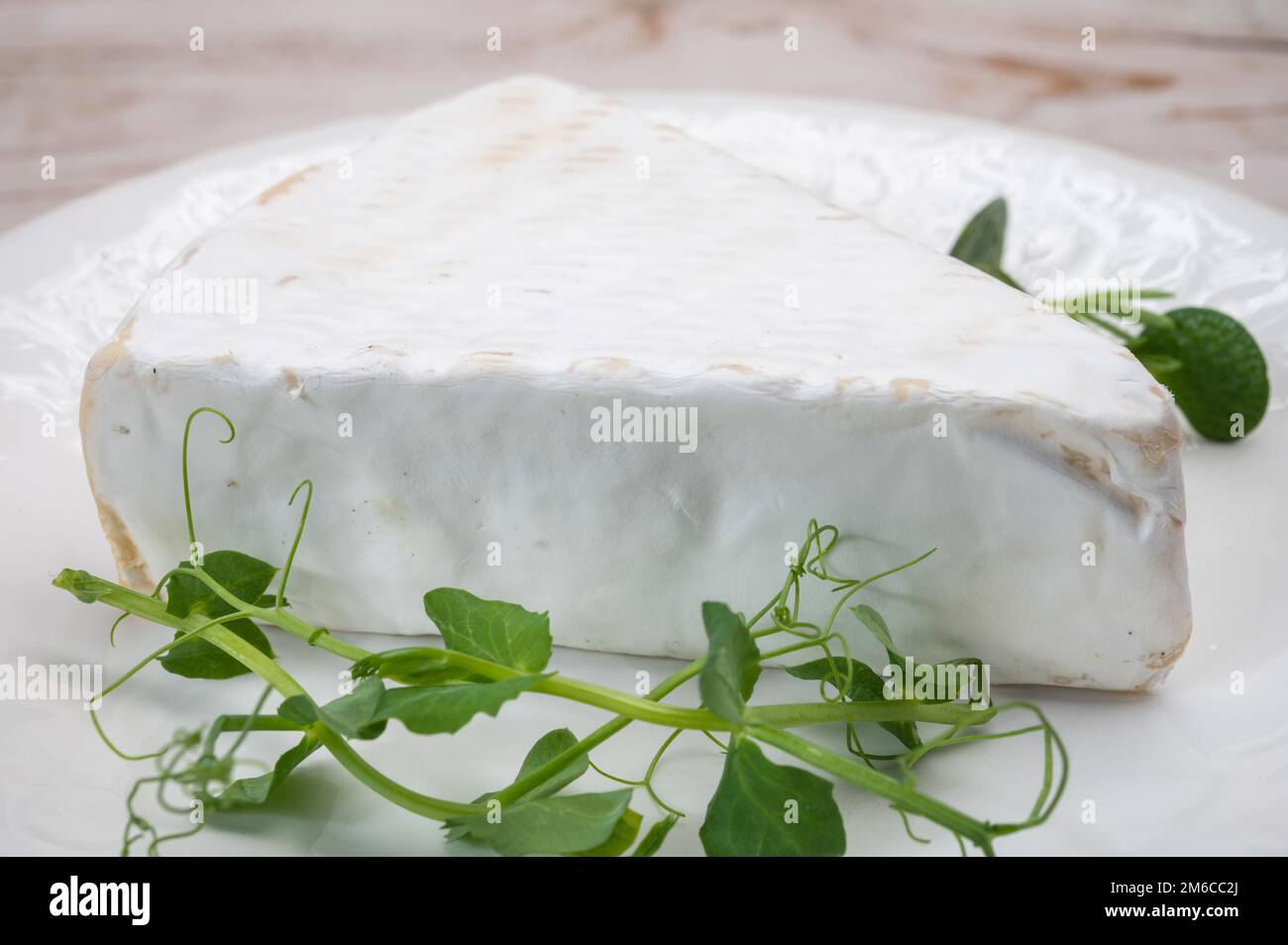Cheese collection, French brie de Meaux cheese from Seine-et-Marne ...
