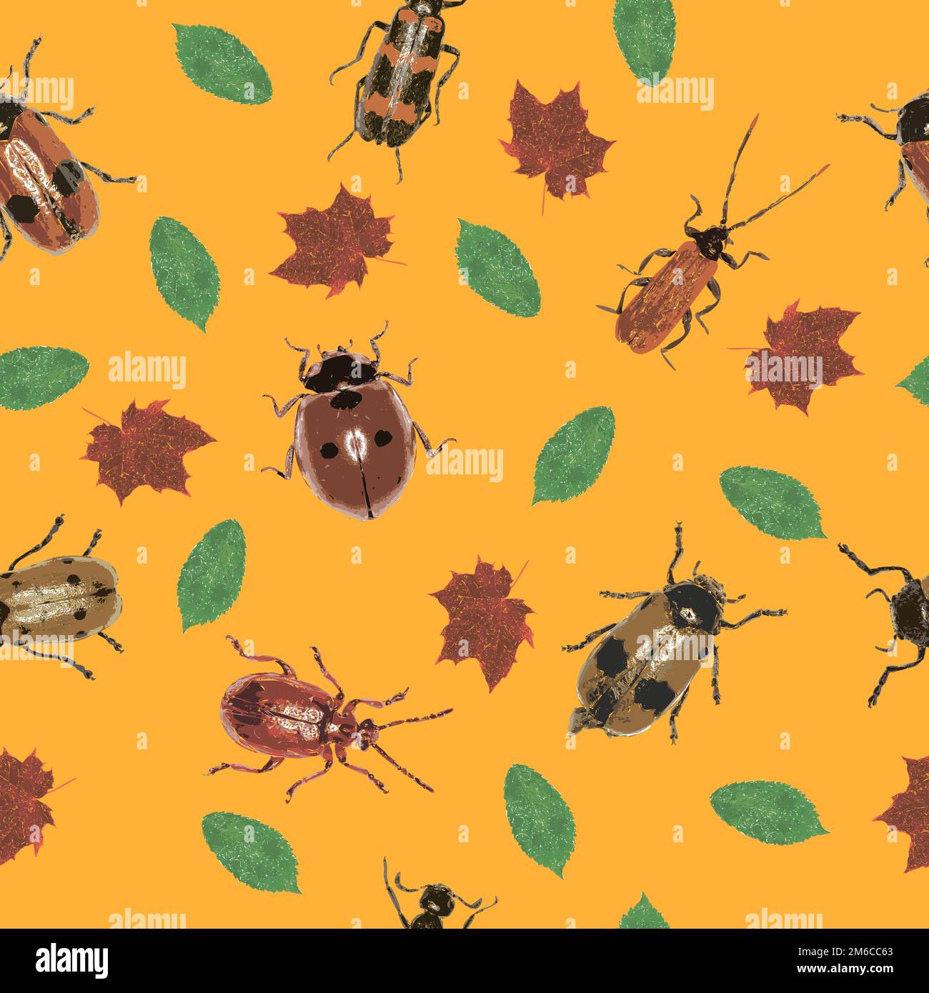 Illustration beetles hi-res stock photography and images - Alamy