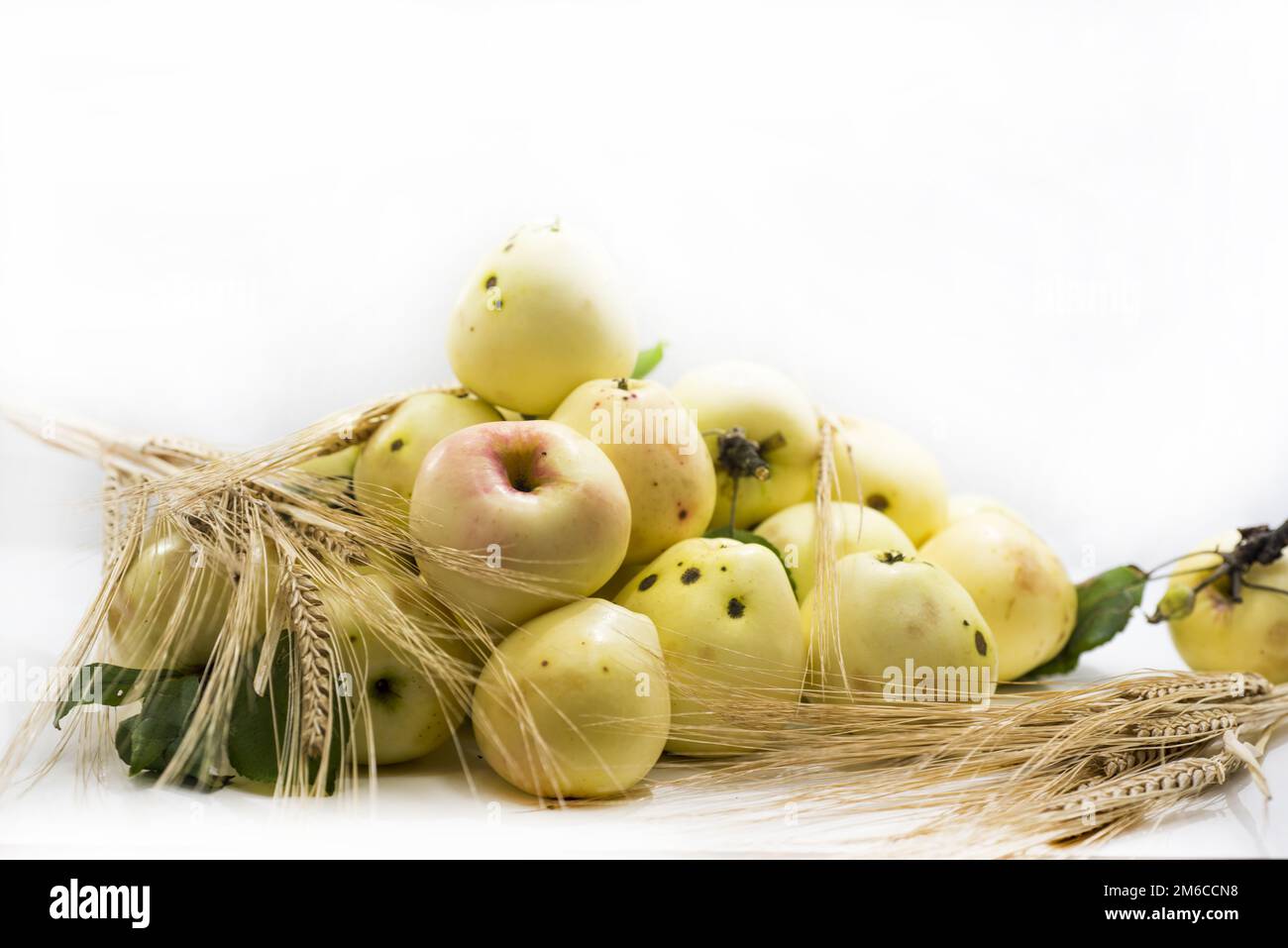 The first apples of Autumn Stock Photo - Alamy