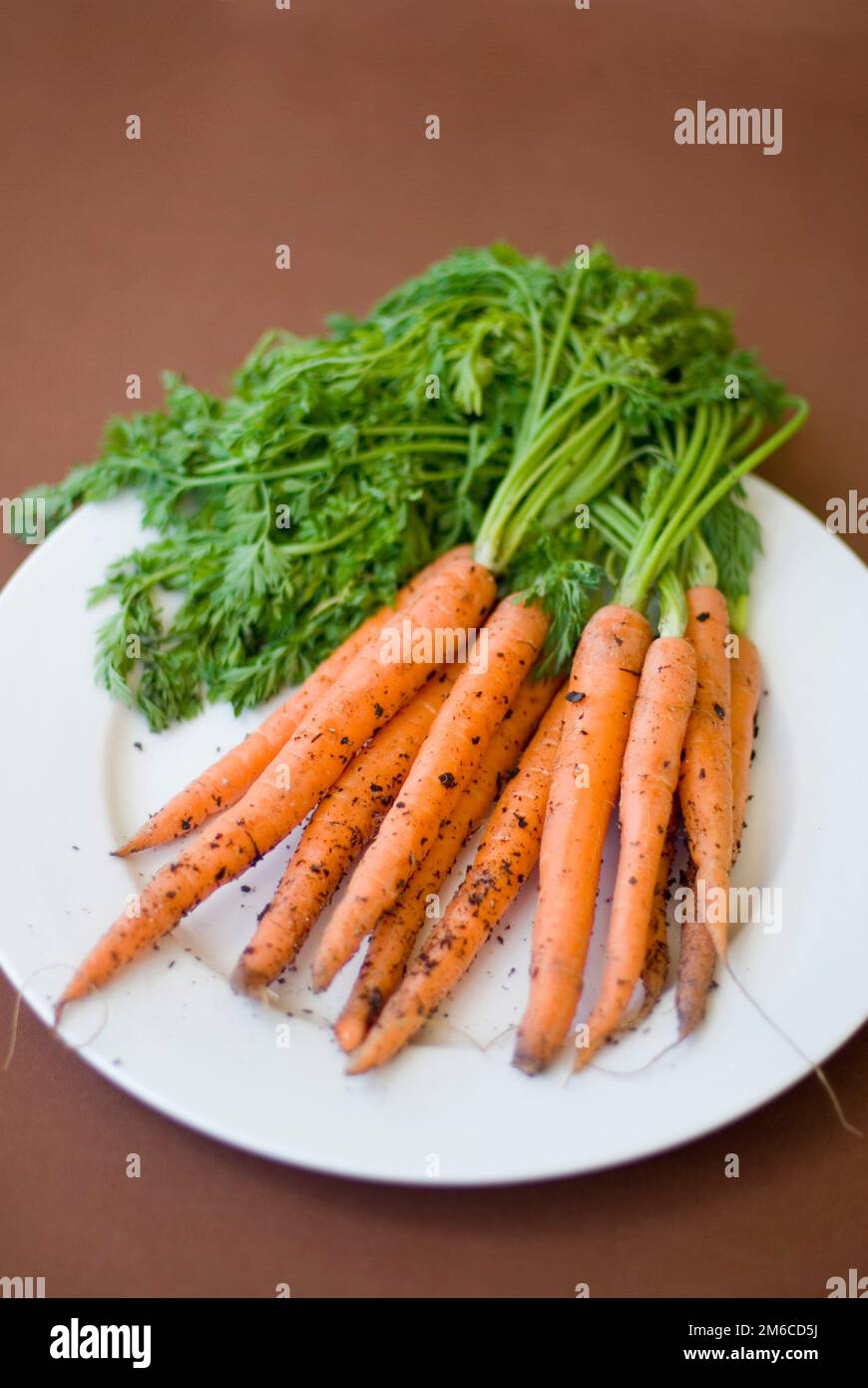 Bunch of fresh raw carrots with their leaves Stock Photo - Alamy