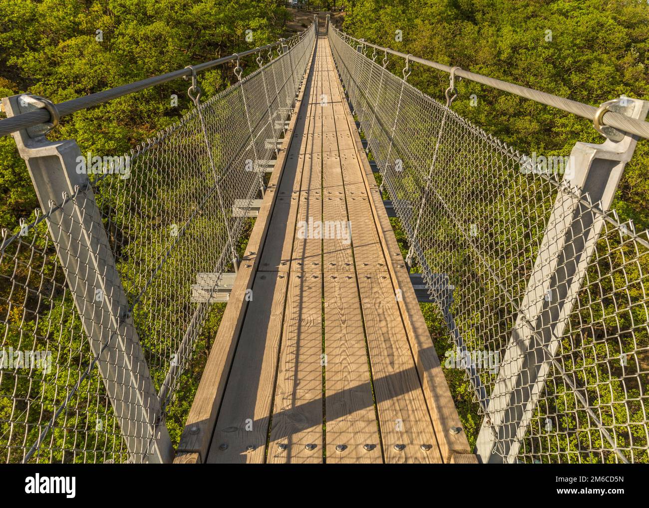 On the Geierlay Bridge Stock Photo - Alamy