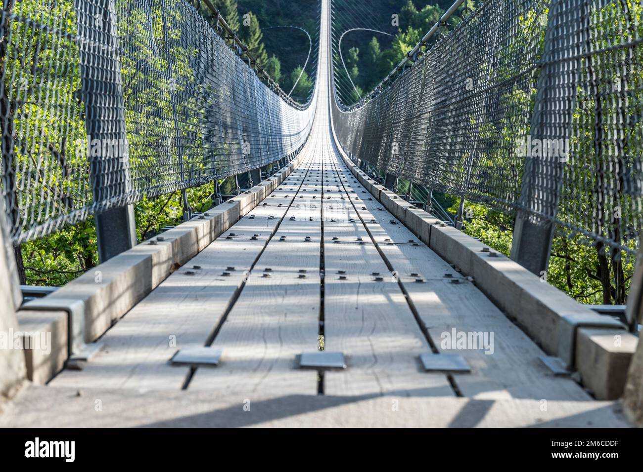 Geierlay, view to a large suspension bridge Stock Photo - Alamy