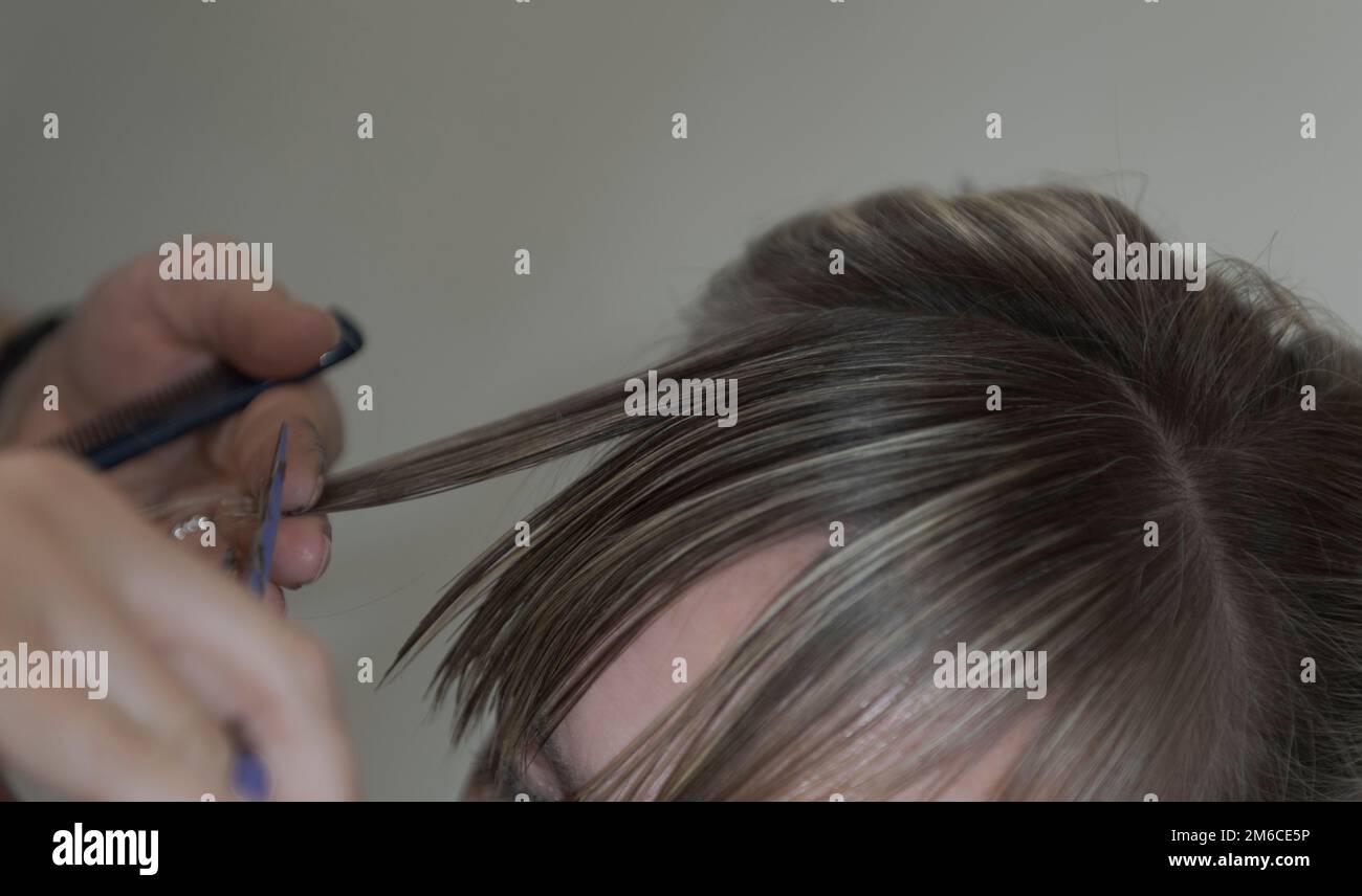 Women's haircut process. Close-up Stock Photo - Alamy