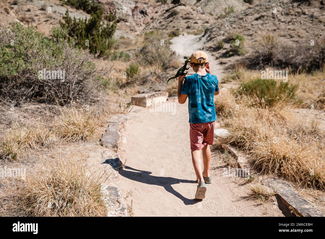 Young boy hiking with toy dinosaur in desert Stock Photo - Alamy