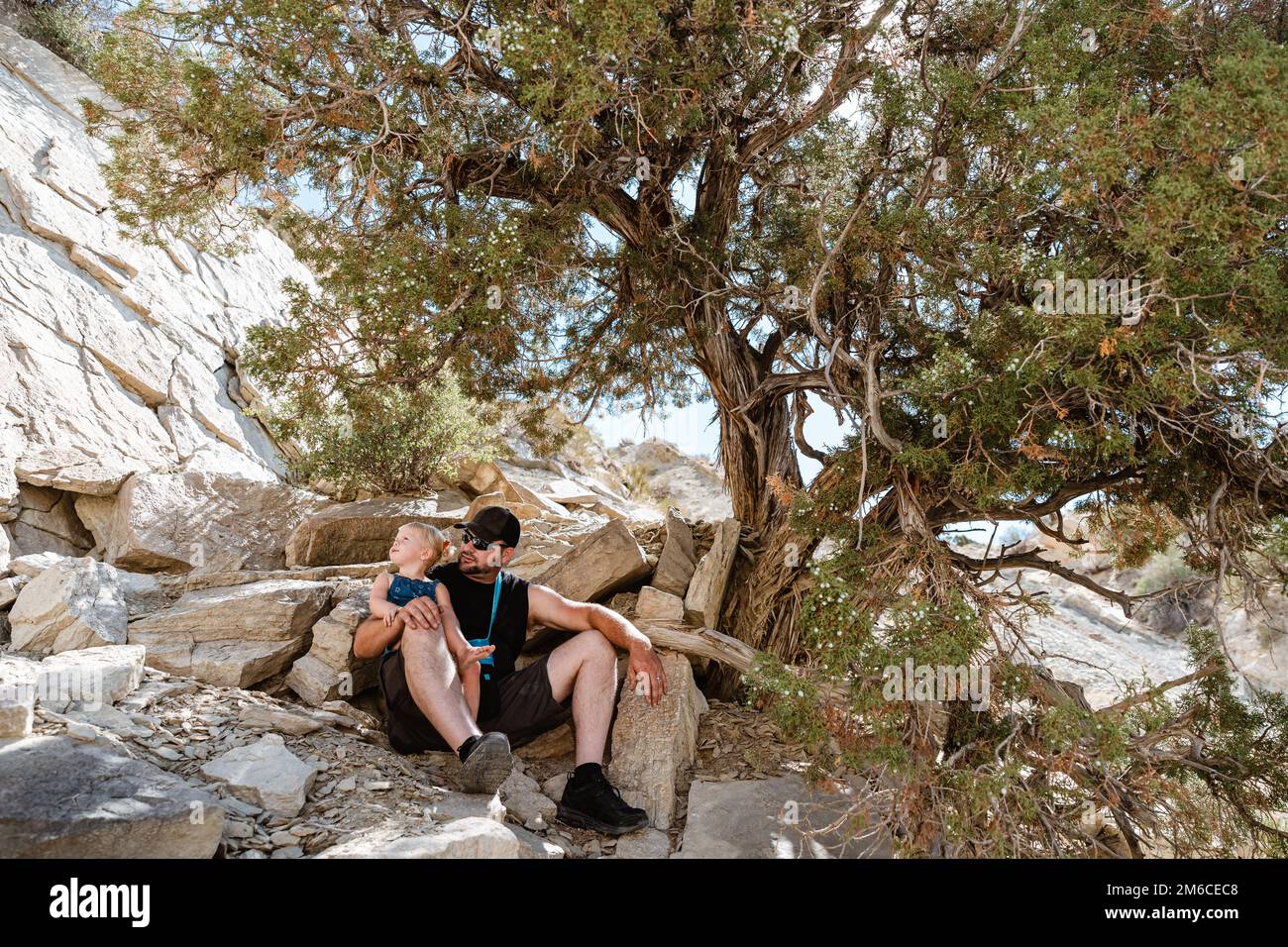 Dad and child resting under shade tree on hike Stock Photo - Alamy