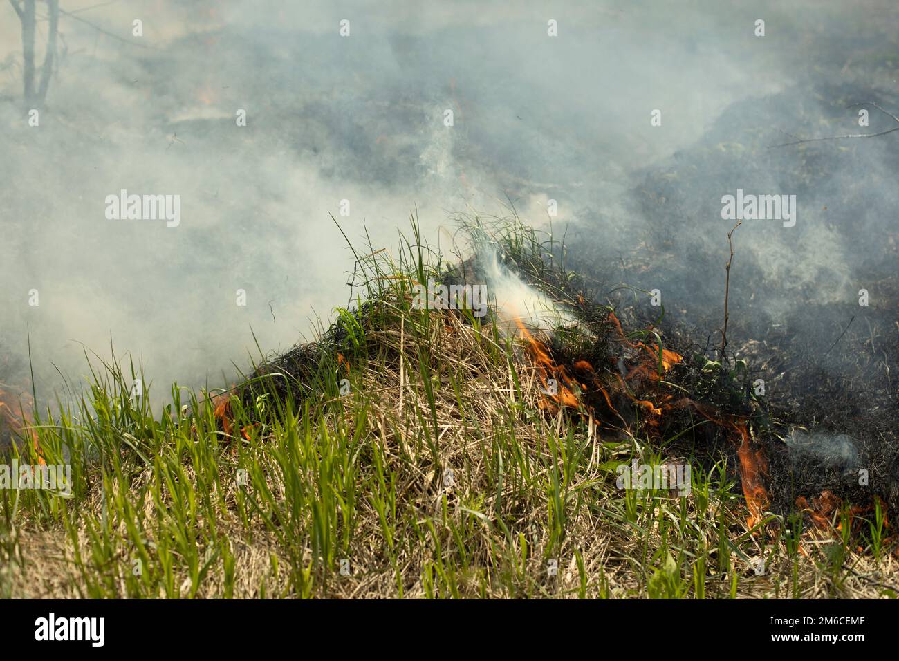 Black smoke from fire. Burning of garbage. Destruction of nature Stock ...