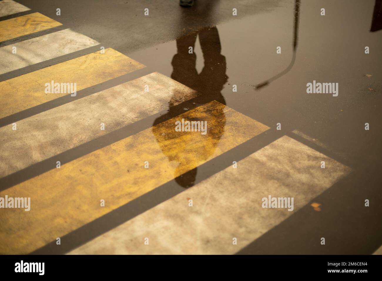 Pedestrian crossing across road in rain Stock Photo - Alamy