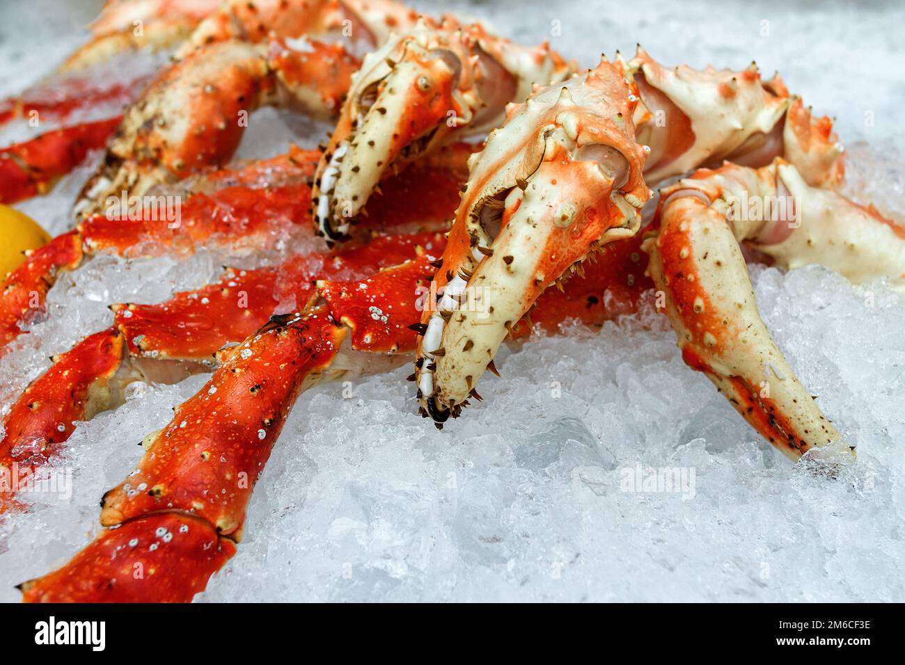 Crab claw lying in the ice. Close-up Stock Photo - Alamy