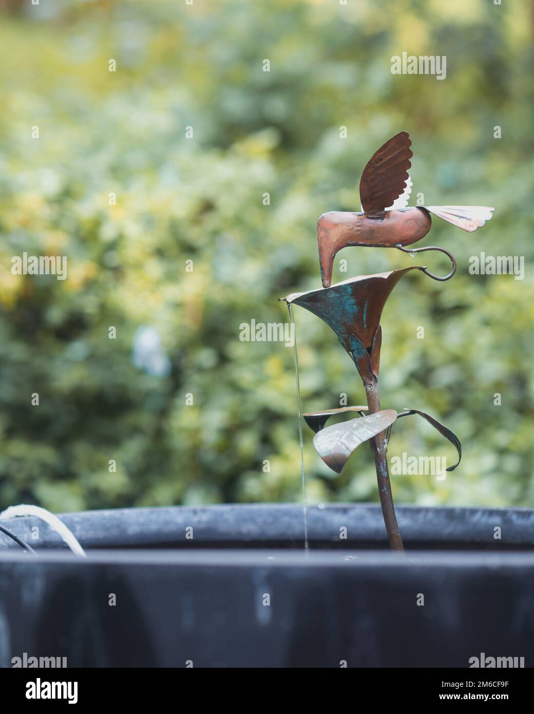 A vertical closeup of a bronze hummingbird on top of a mini water ...