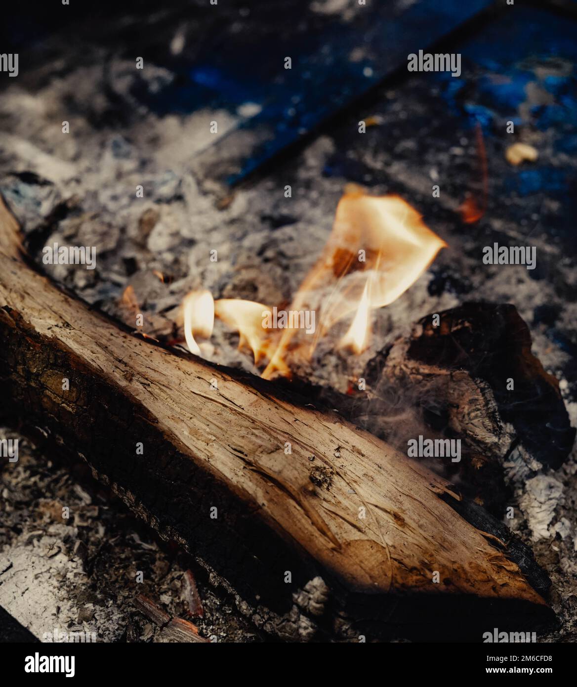 Eucalyptus trunk burning on the grill Stock Photo - Alamy