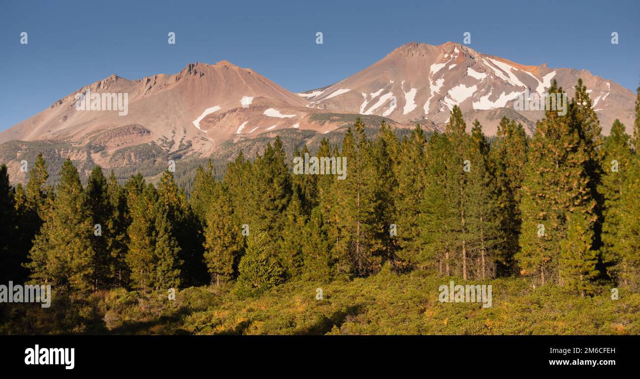 Mount Shasta Shastina Cascade Range California National Forest Stock ...