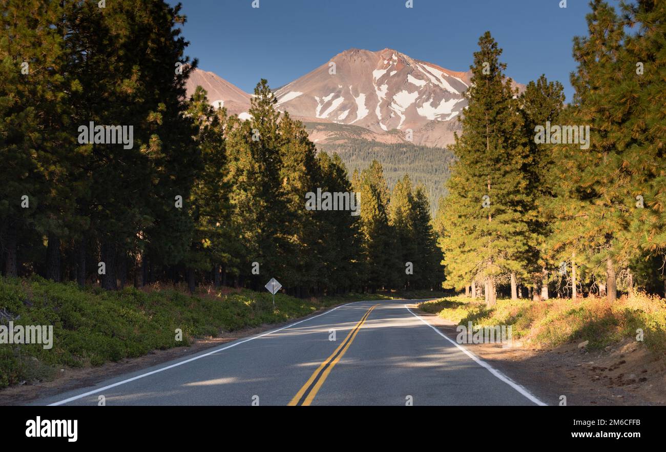 Mount Shasta Shastina Cascade Range California National Forest Stock ...