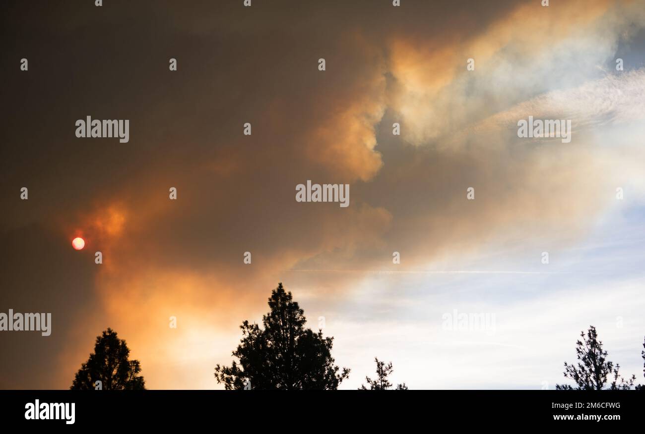 The Sun Filtered Through Smoke Rising Forest Wildfire Stock Photo - Alamy