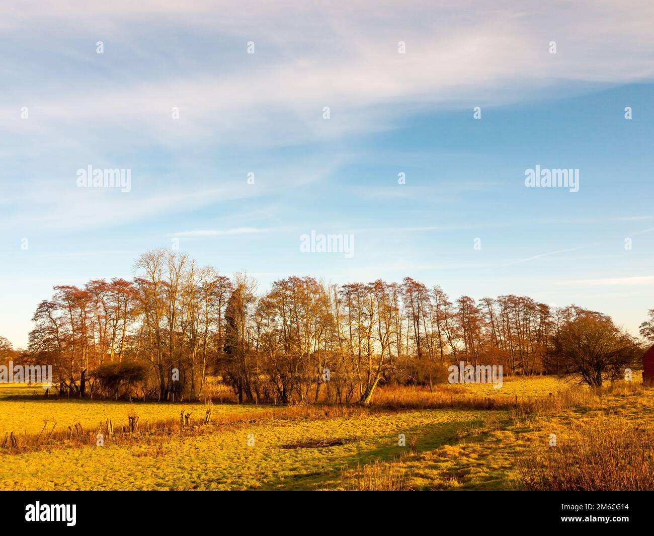 Country day landscape field trees grass autumn winter Stock Photo - Alamy