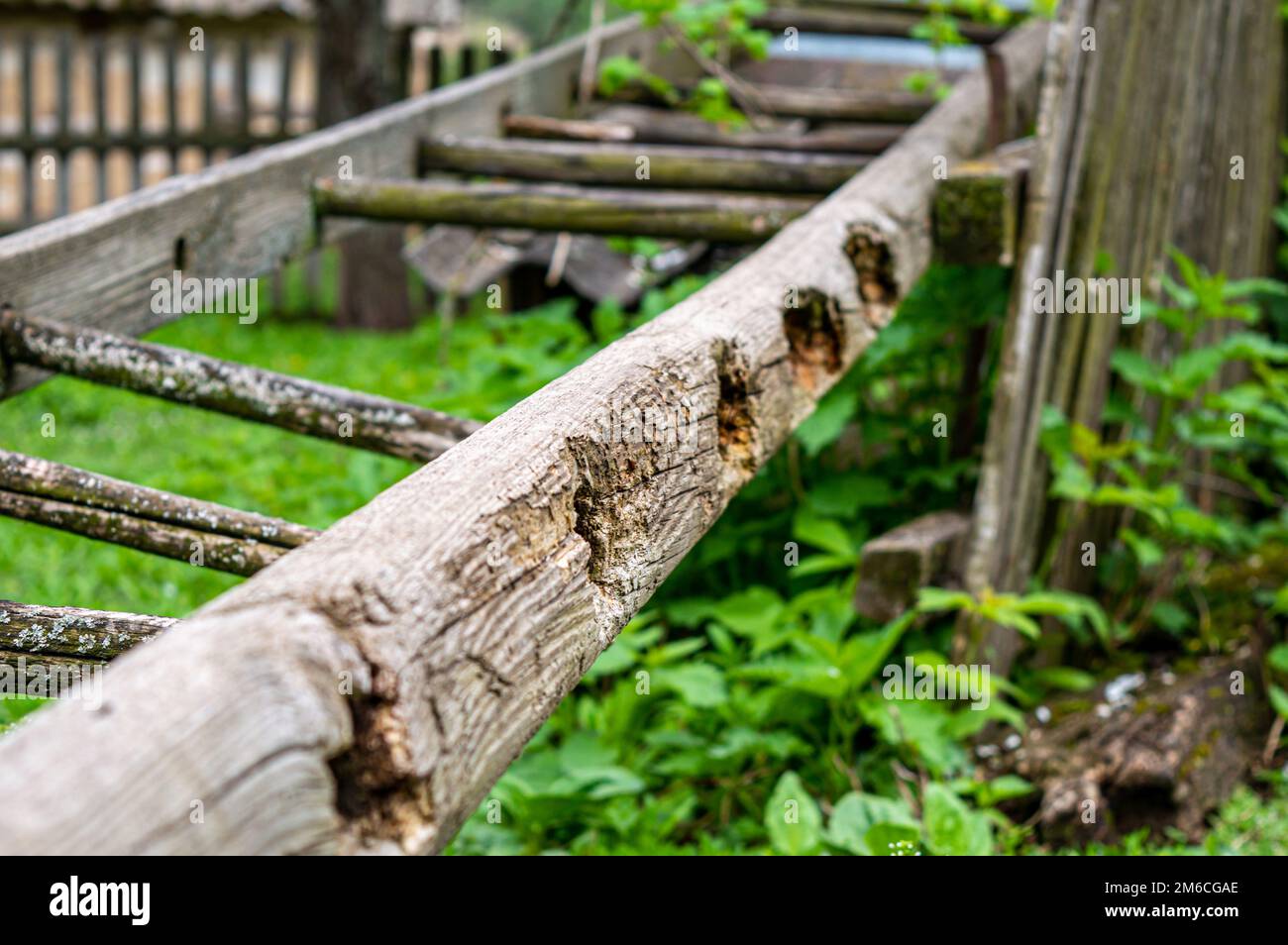 Old broken wooden ladder in spring garden Stock Photo - Alamy