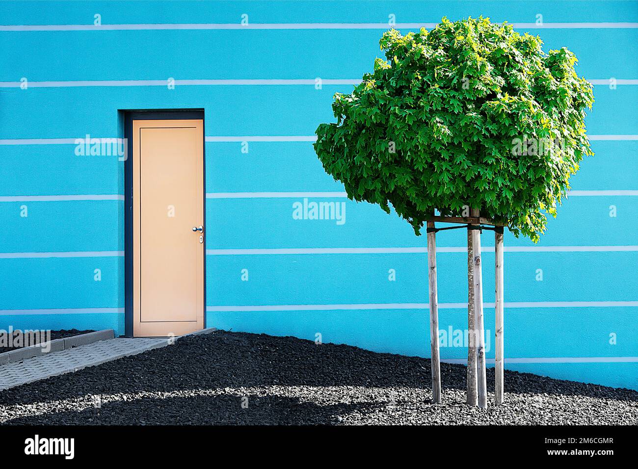 Modern facade tree hi-res stock photography and images - Alamy