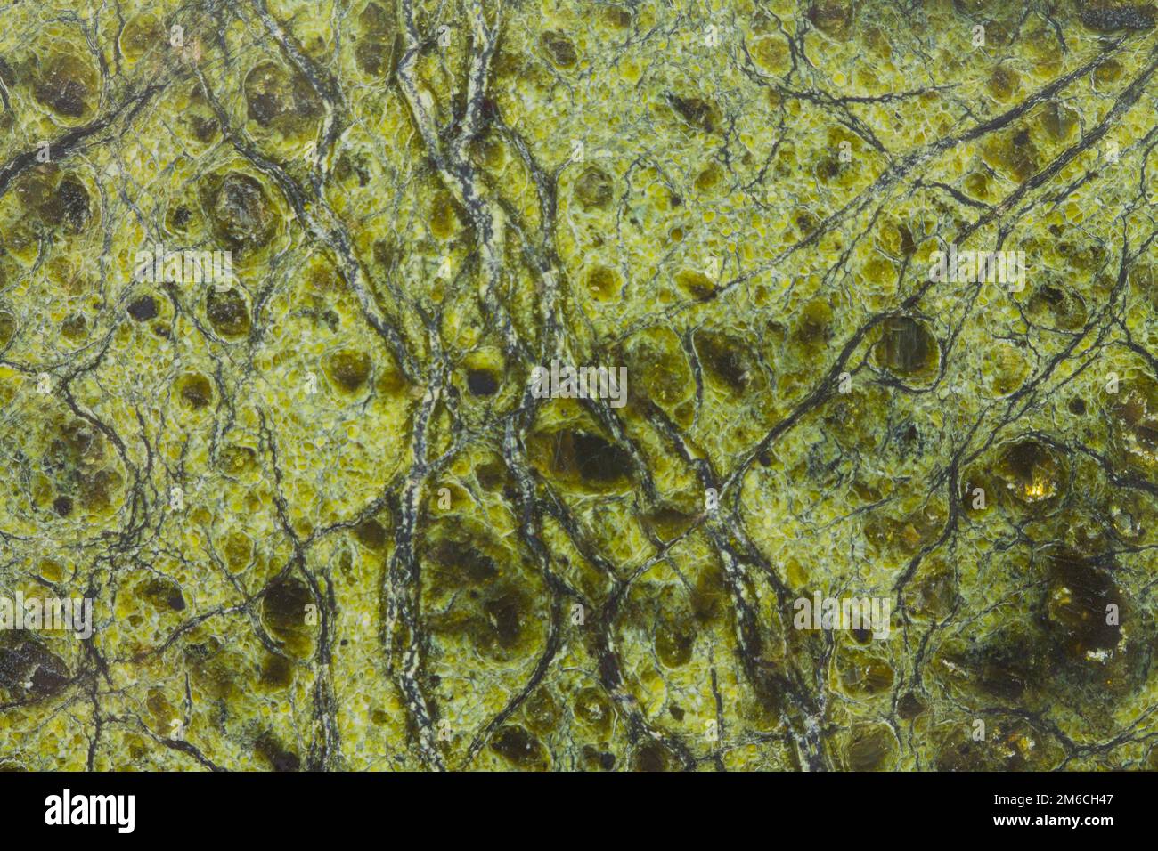 Serpentine rock texture hi-res stock photography and images - Alamy