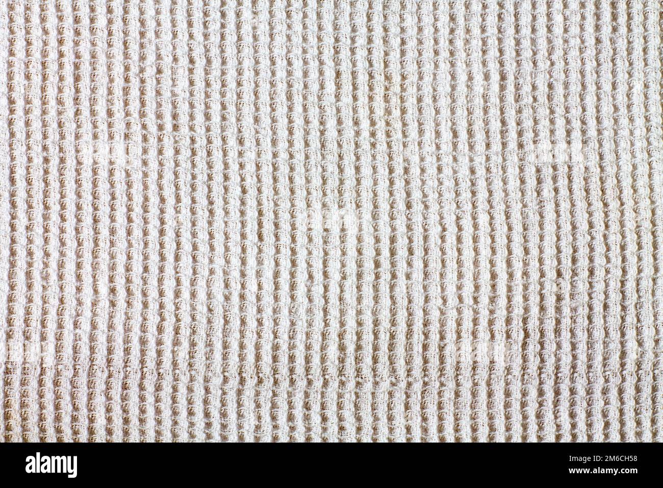 Fabric Texture Cotton