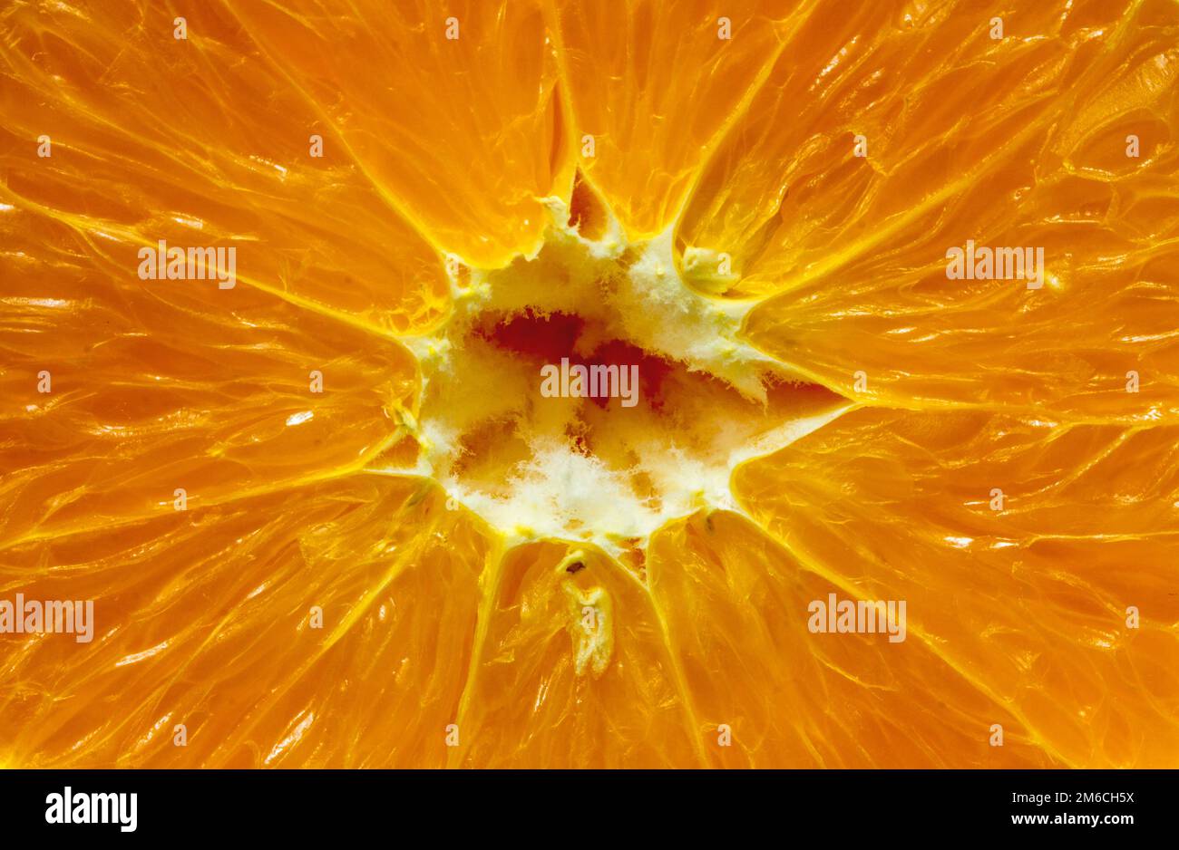 Macro view yellow orange hi-res stock photography and images - Alamy