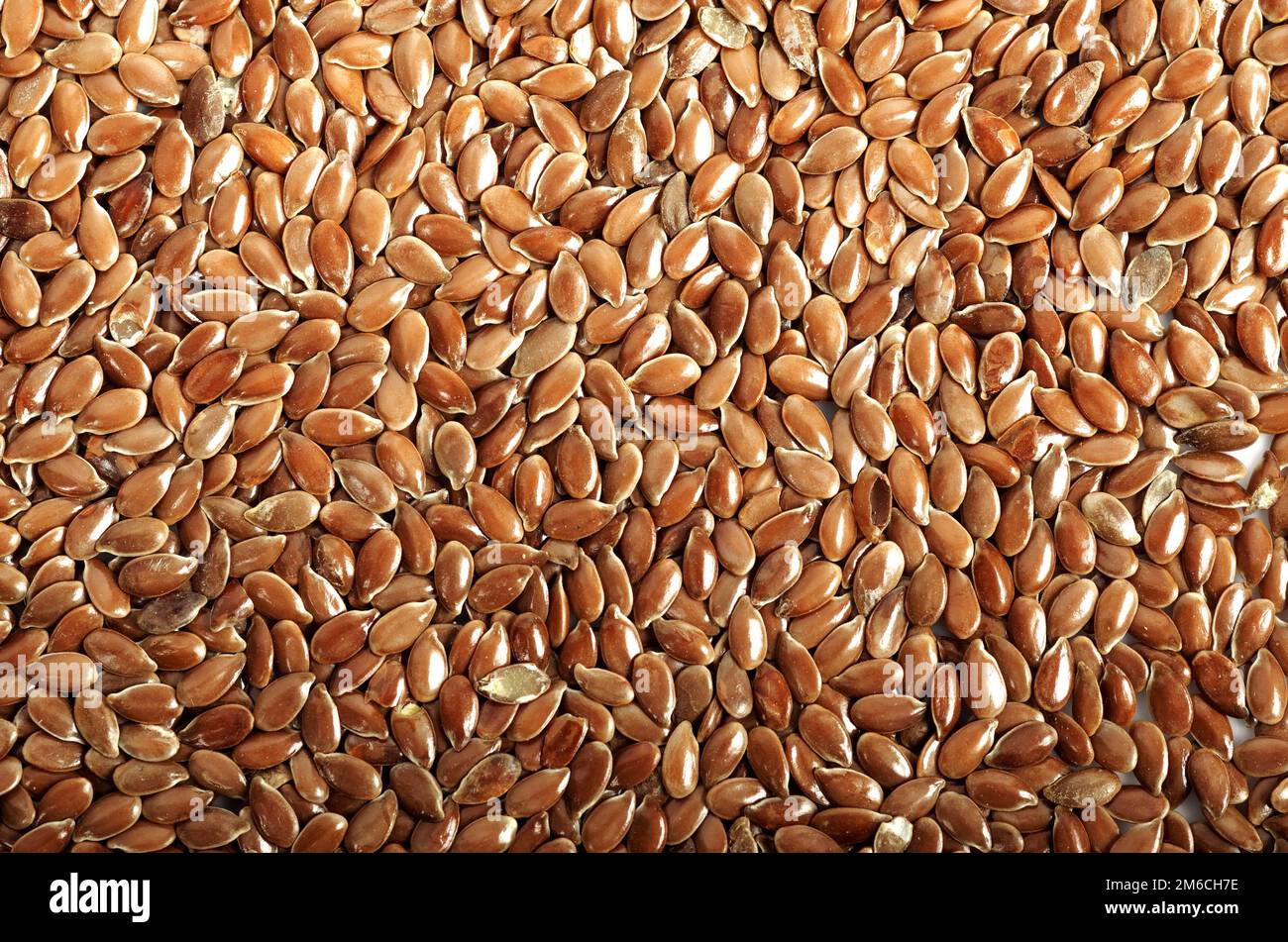 Close up seeds hi-res stock photography and images - Alamy