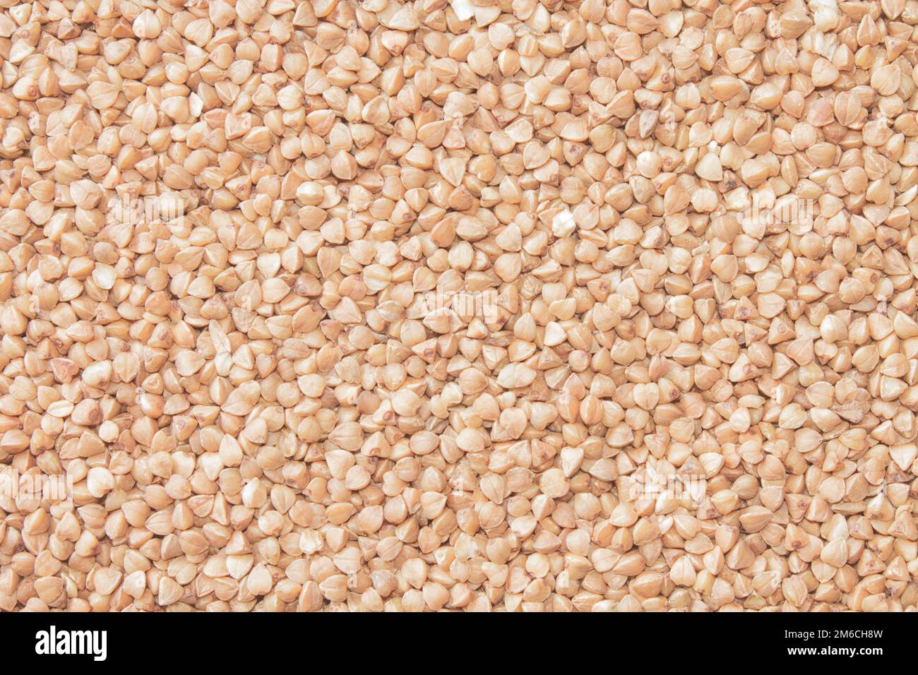 Background of buckwheat grains Stock Photo - Alamy