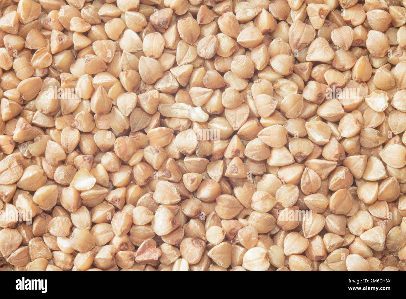 Buckwheat grains hi-res stock photography and images - Alamy