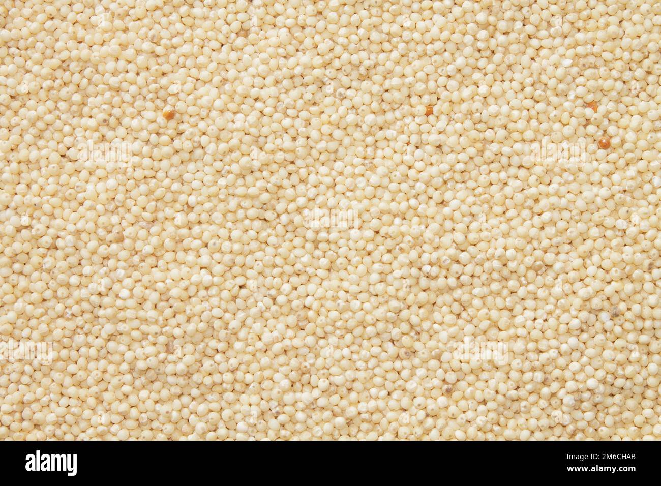 Background of millet grains Stock Photo - Alamy