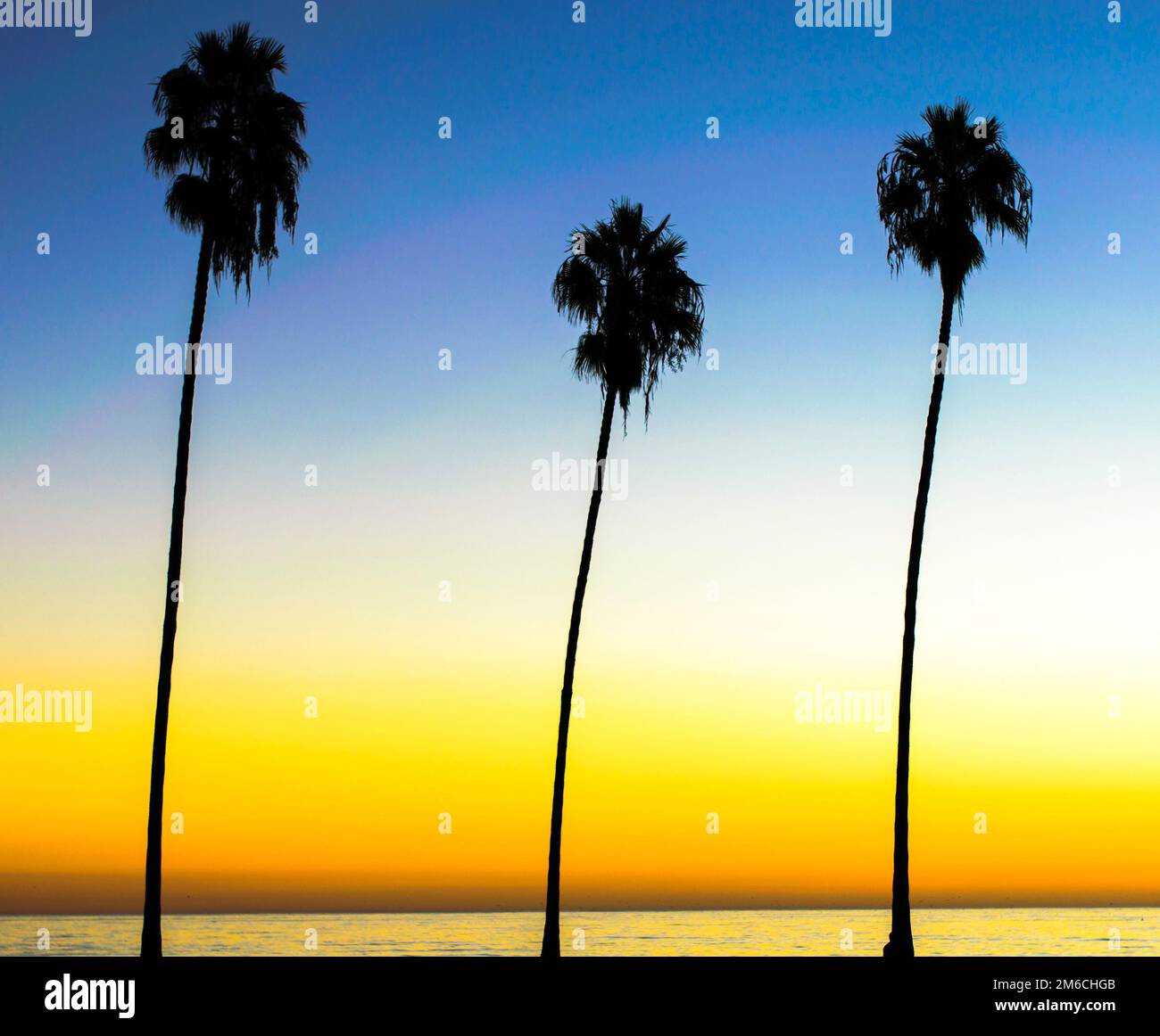 Sun palms ocean hi-res stock photography and images - Alamy