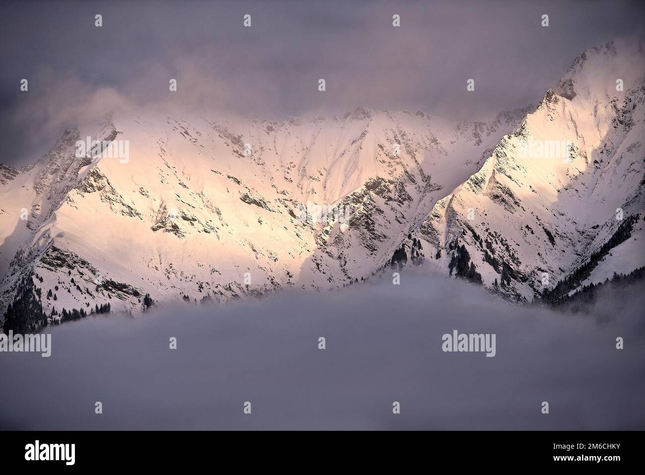 Light and shadow in nature hi-res stock photography and images - Alamy