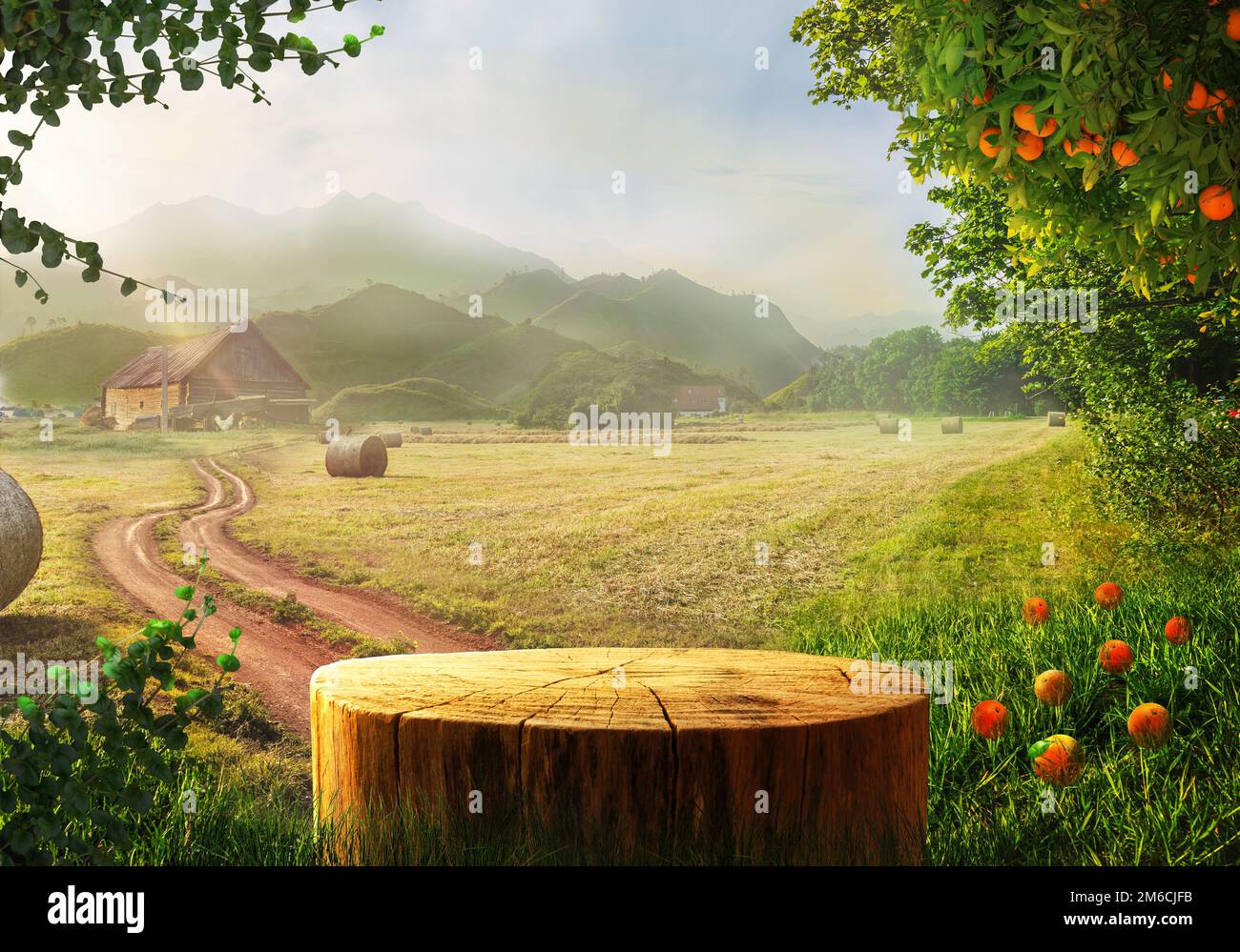 Tree trunk wood Podium display for food, perfume, and other products on ...