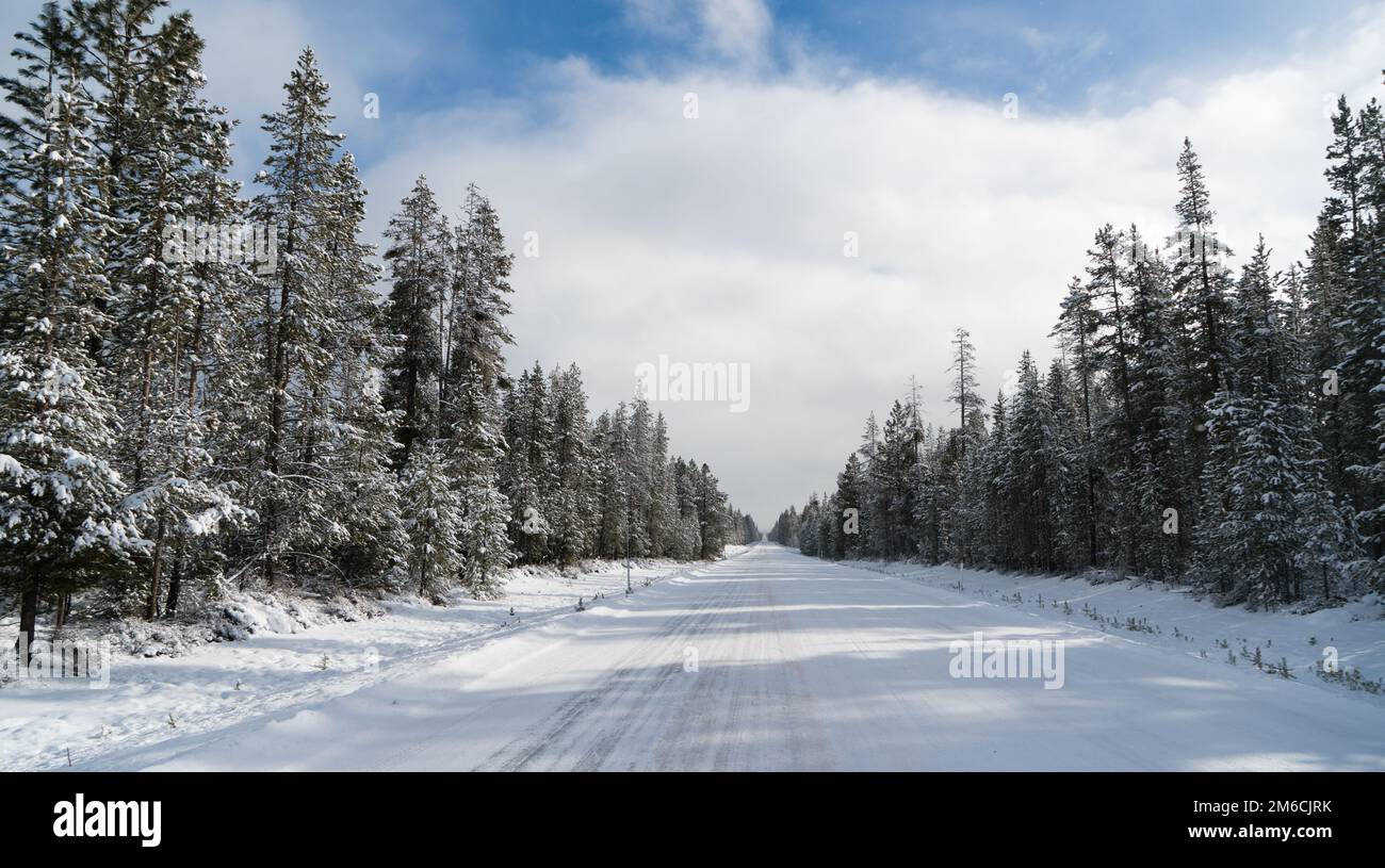 Scenic road leads through hi-res stock photography and images - Alamy