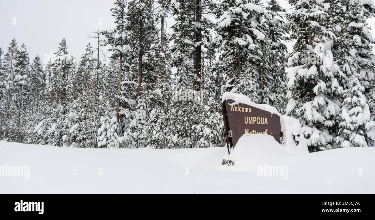 Winter Woods Umpqua National Forest Welcome Sign Stock Photo - Alamy
