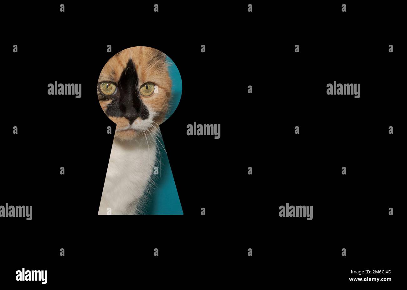 Look through the keyhole hi-res stock photography and images - Alamy