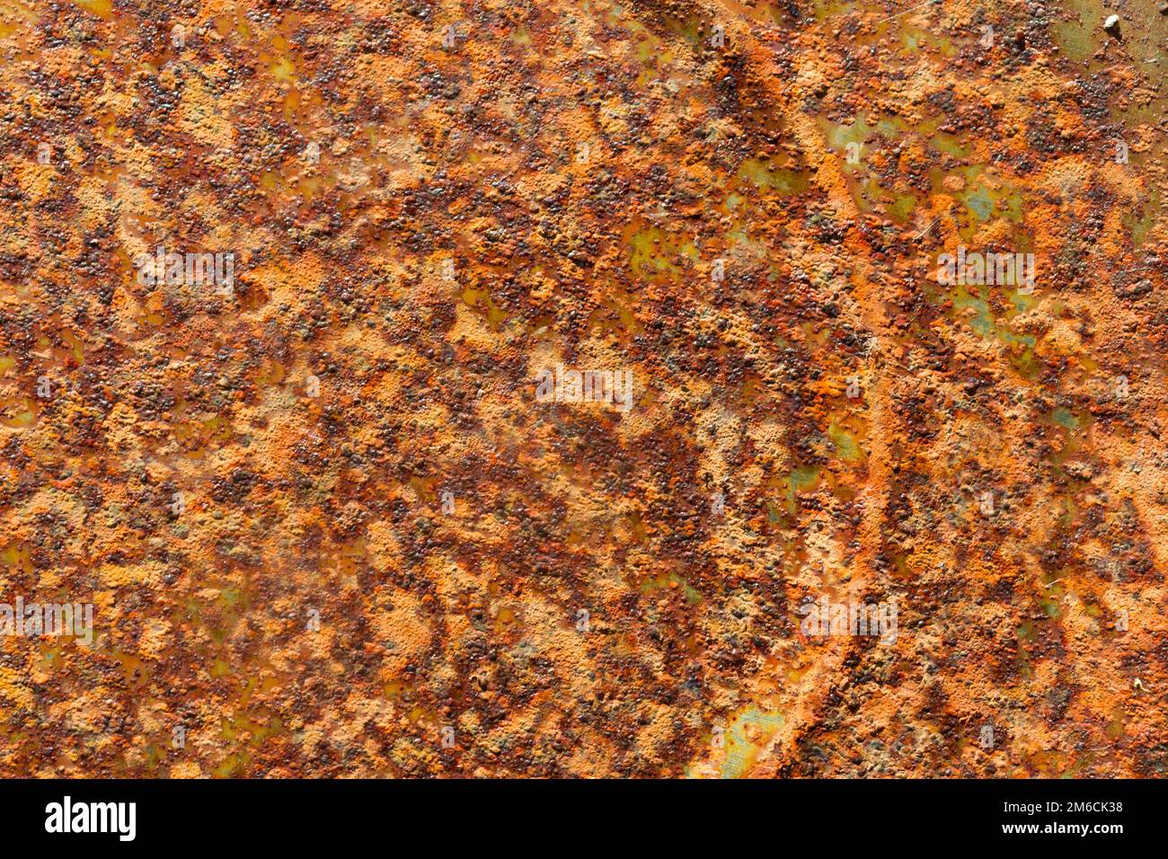 Macro Close-up View Rusted Old Tin Can Metal Oxidation Stock Photo - Alamy