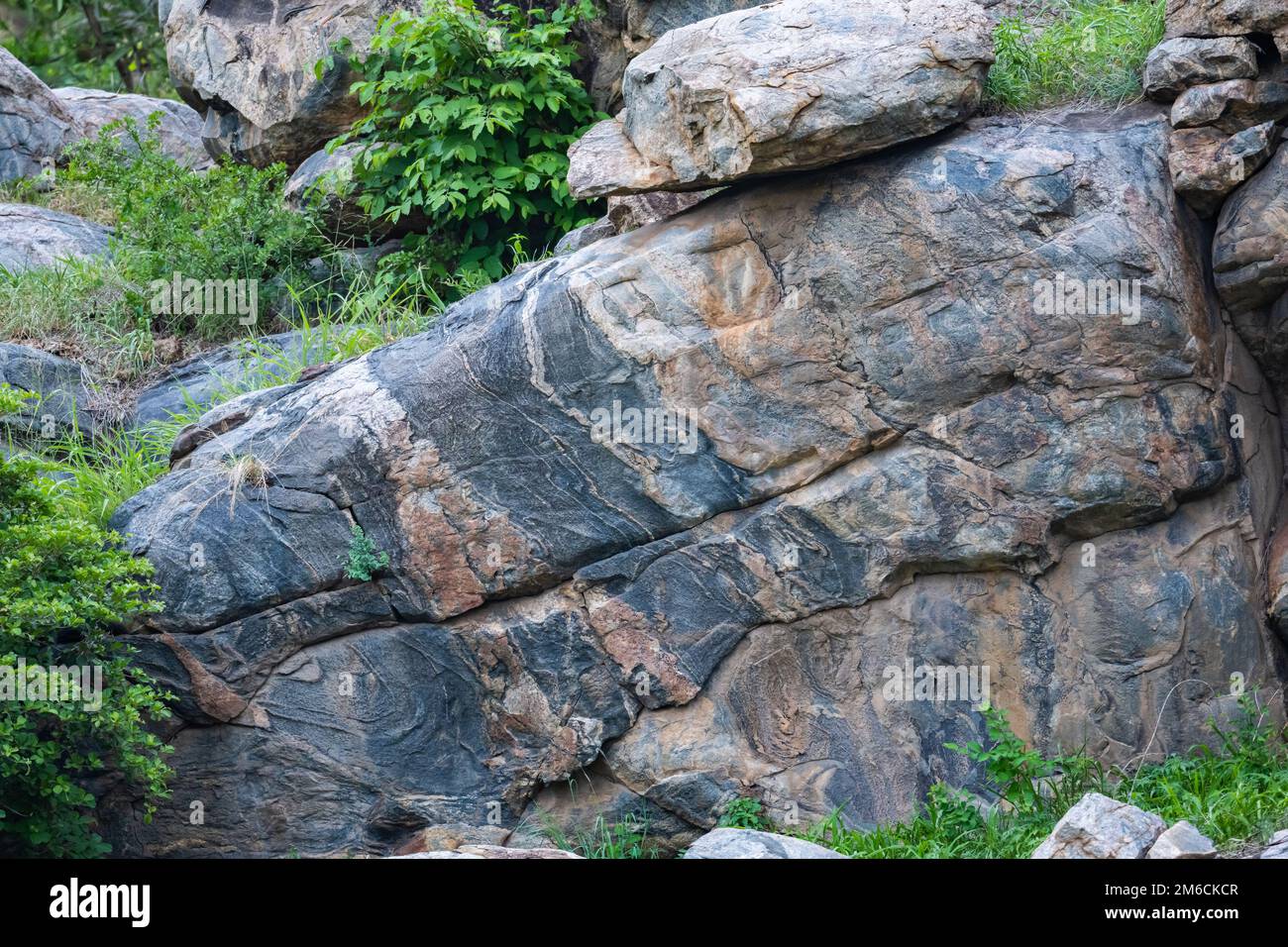 Outcrop of Precambrian gneiss with alternating colored bands of various ...