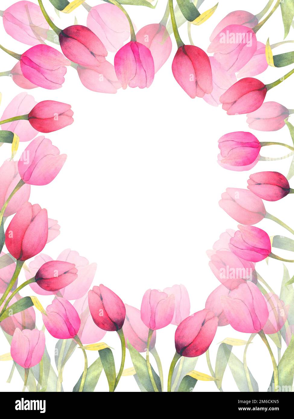 Spring Borders And Frames