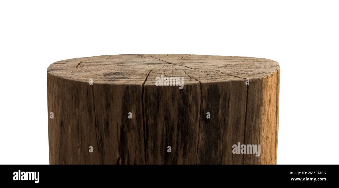 wood Podium from tree trunk isolated on white background Stock Photo ...