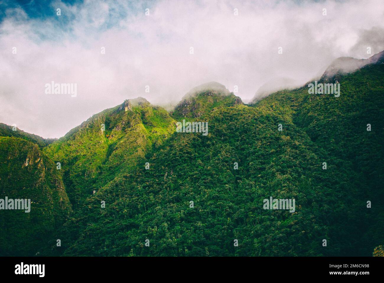 Colors of nature in the mountains Stock Photo - Alamy
