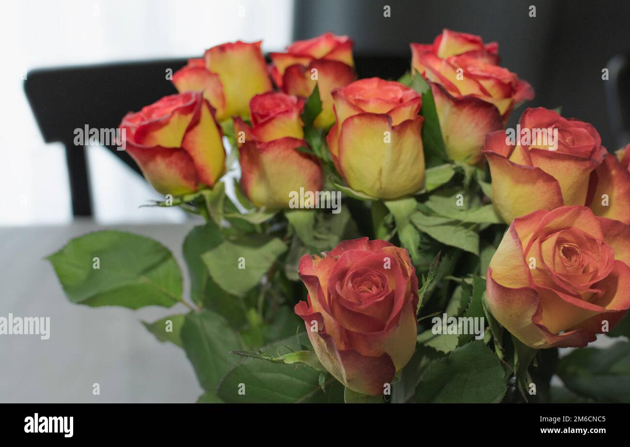 Ordinary house interior hi-res stock photography and images - Alamy