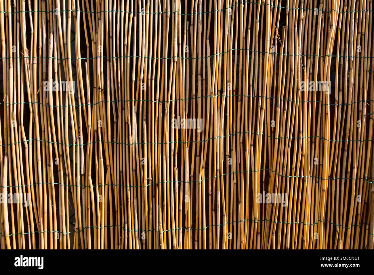 Bamboo wall texture Stock Photo - Alamy