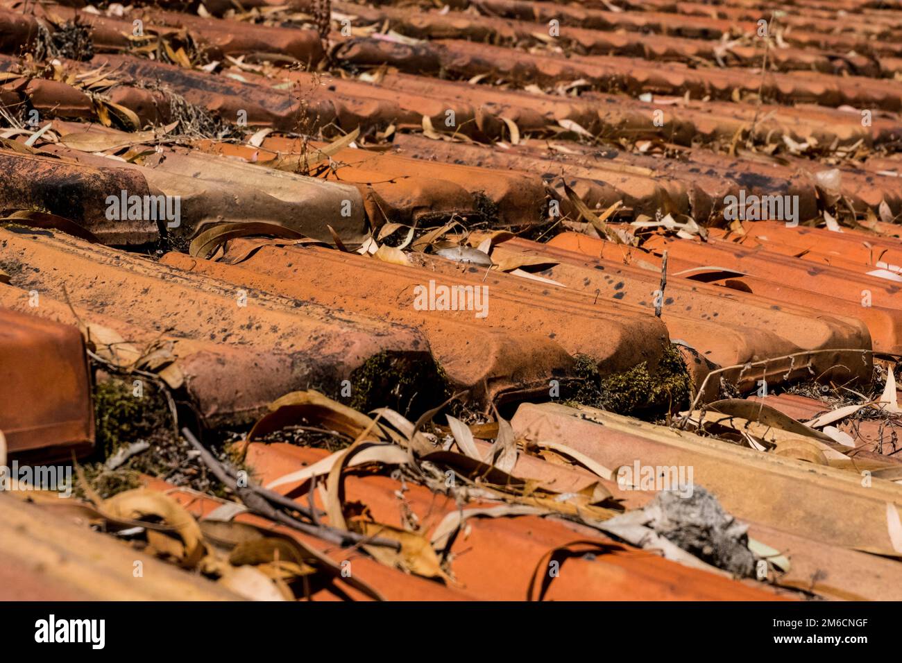 Rock city roof hi-res stock photography and images - Alamy