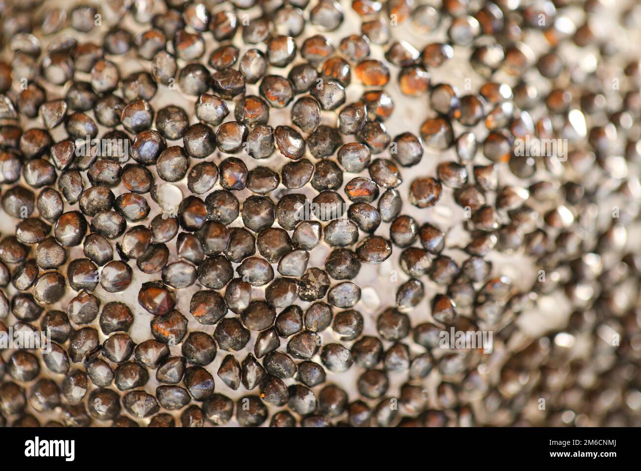 Wallpaper metallic in beige and gray colors.metallic shiny texture.grainy texture.Beautiful ...