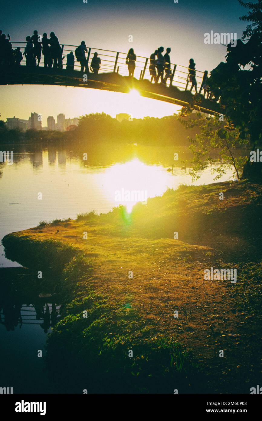 Sunset at the park over a bridge Stock Photo - Alamy