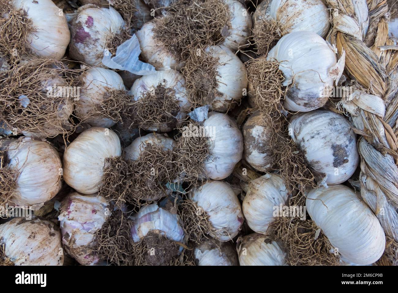 Organic farm stand hi-res stock photography and images - Alamy